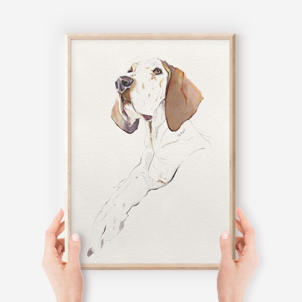 English Pointer Dog - Etsy