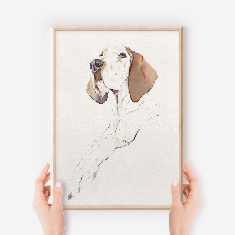 English Pointer Art - Etsy