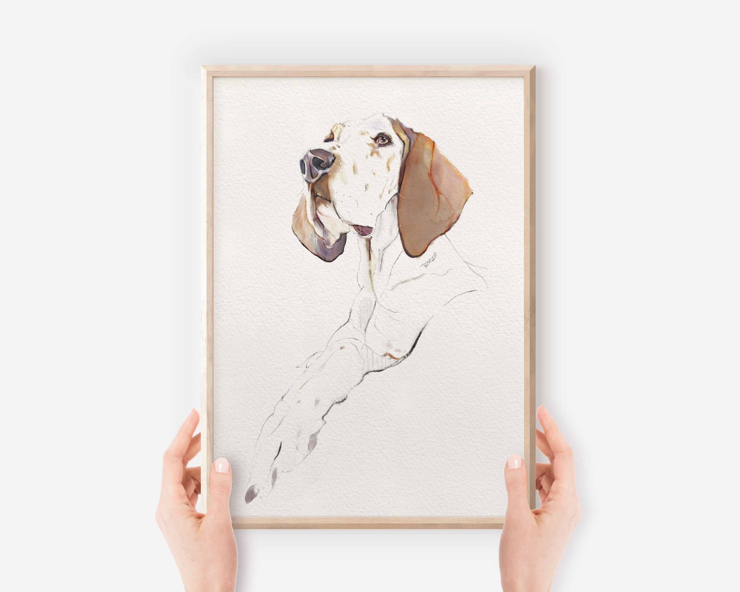 English Pointer Dog | English Pointer | Hunting Dog | Dog Drawing | Dog ...