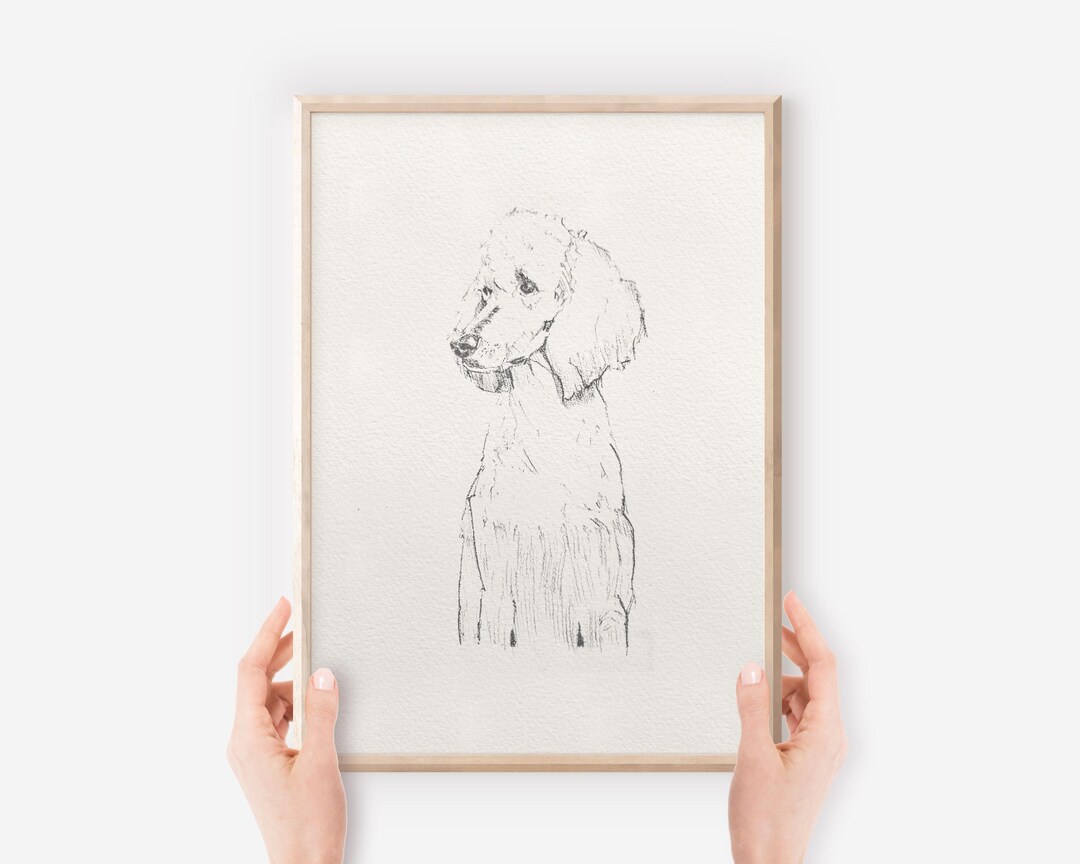 Poodle Sketch Dog Drawing Hand Drawn Printable Instant Download Dog Art ...