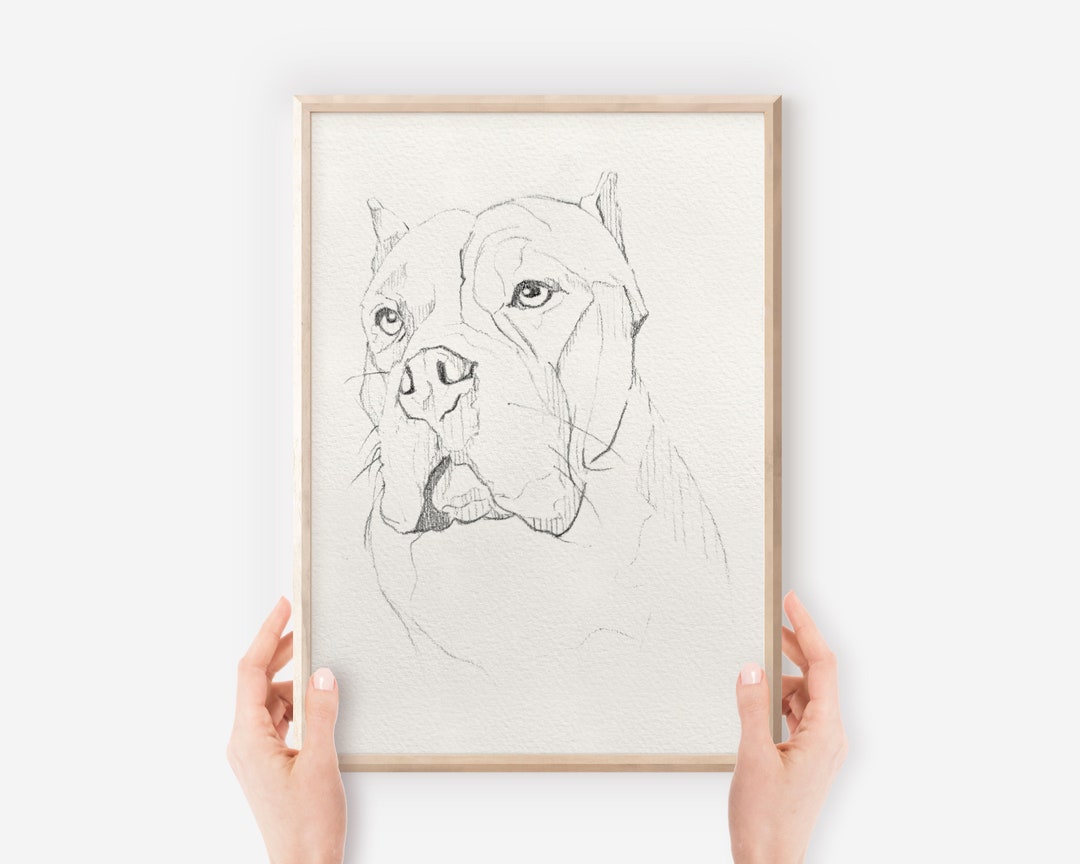 American Bully Dog Art Print | Hand-drawn Sketch | Pencil Drawing for ...