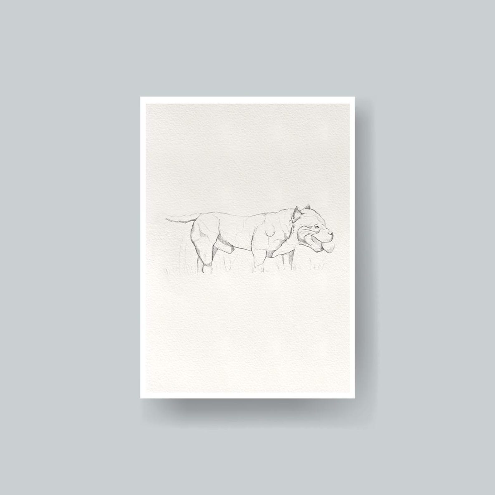 American Bully XL Bully Printable Instant Download Dog Drawing Pencil ...