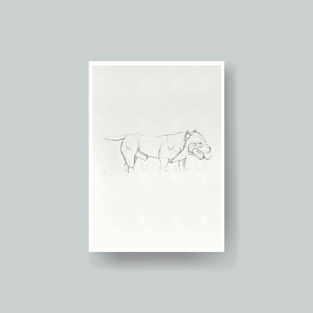 American Bully XL Bully Printable Instant Download Dog Drawing Pencil ...