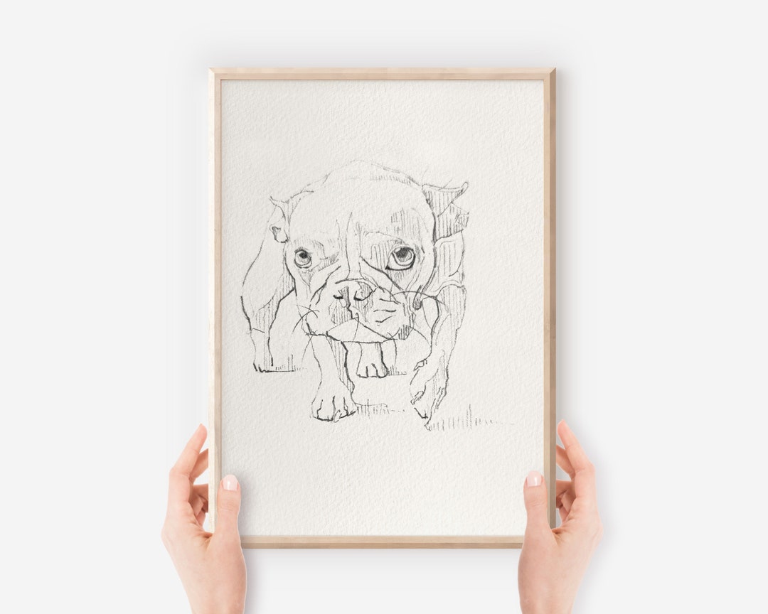 French Bulldog Puppy Art Print | Pencil Sketch of Frenchie Puppy | Fine ...
