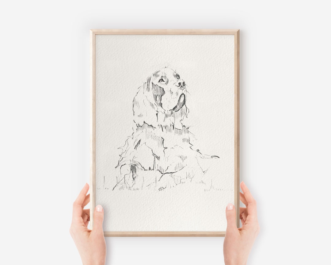 Gordon Setter Art Print on Premium 230gsm Paper | Pencil Dog Drawing ...