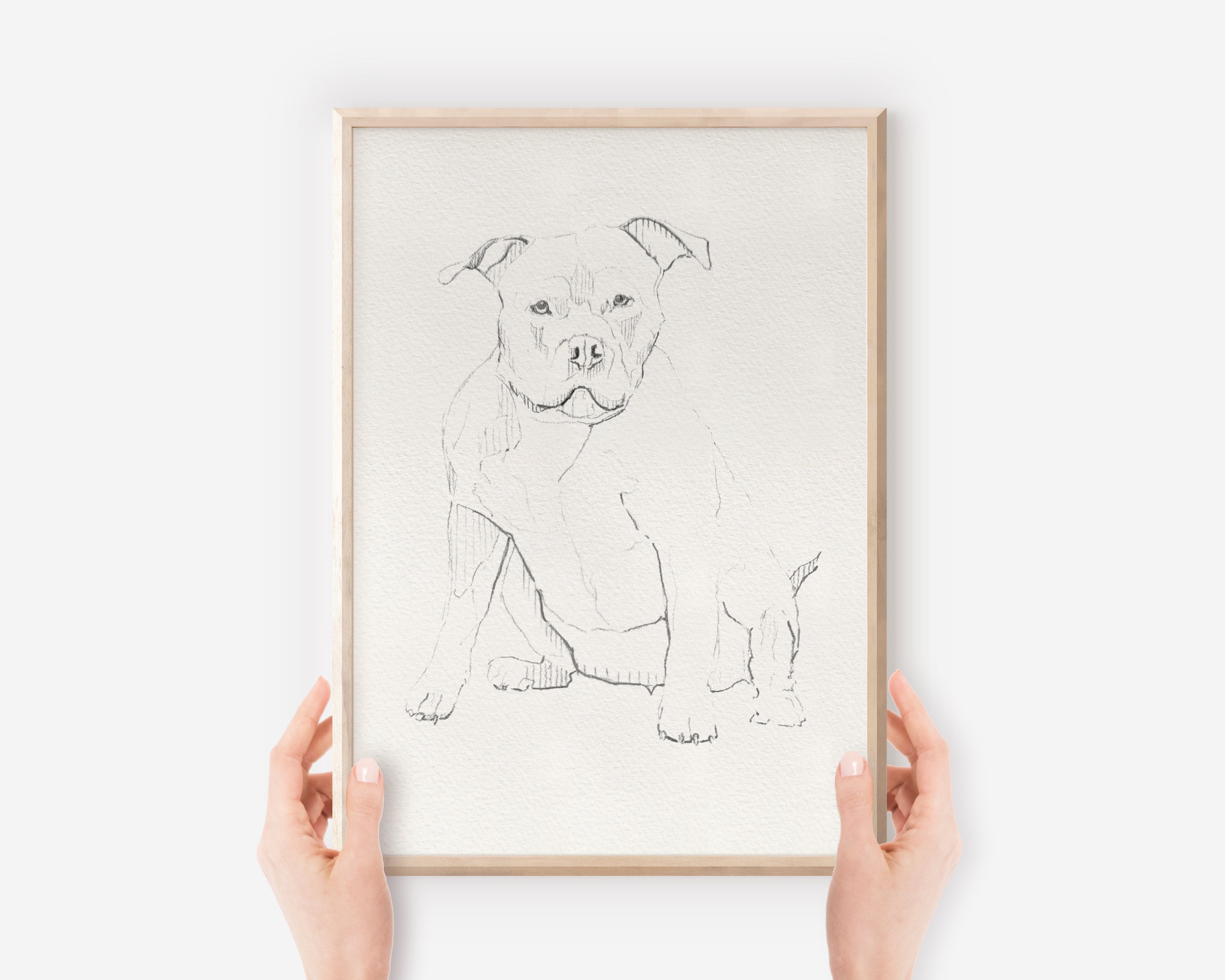 American Bully Dog Pencil Sketch | Bully Dog Wall Art | Hand-drawn ...