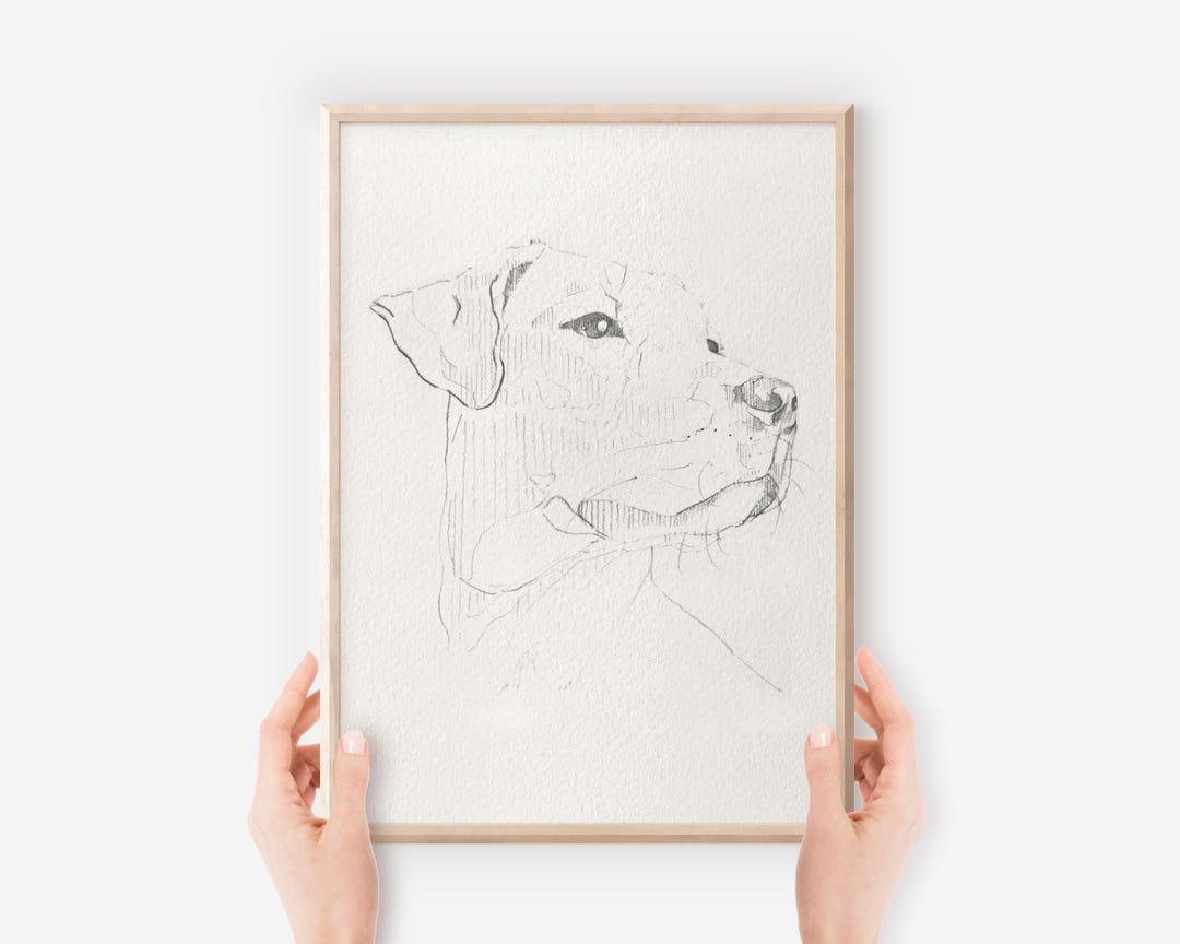 Rhodesian Ridgeback |dog Drawing | Art Print |printable | Instant ...