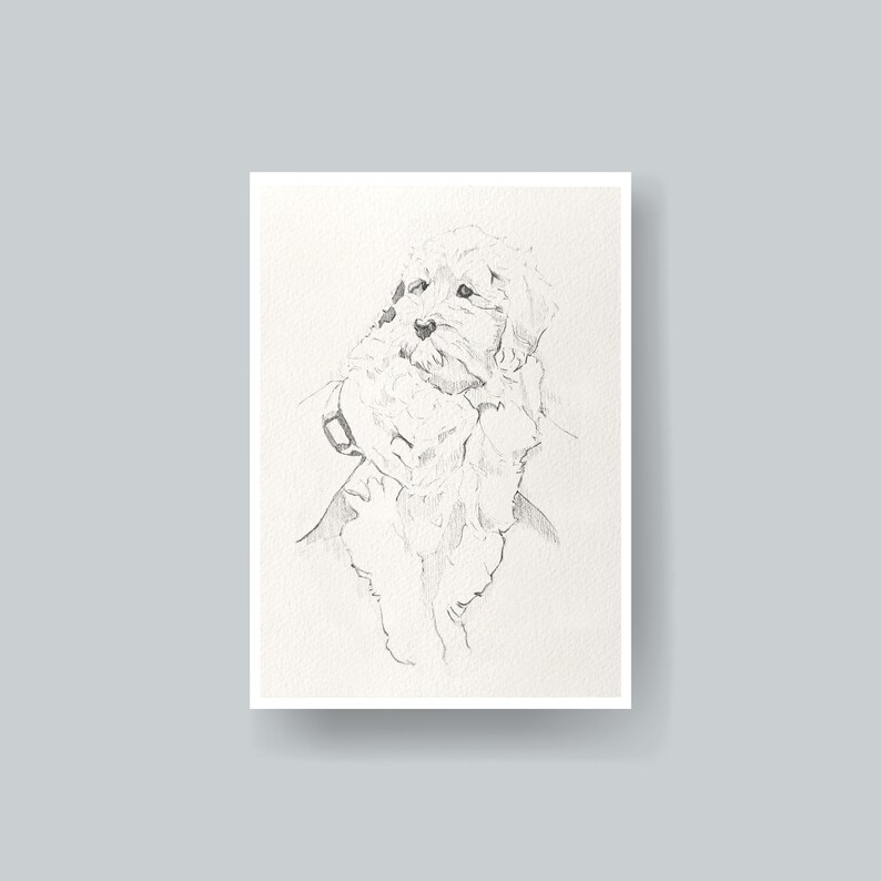 Cockapoo Cockapoo Dog Cockapoo Drawing Cockapoo Sketch Pencil Sketch ...