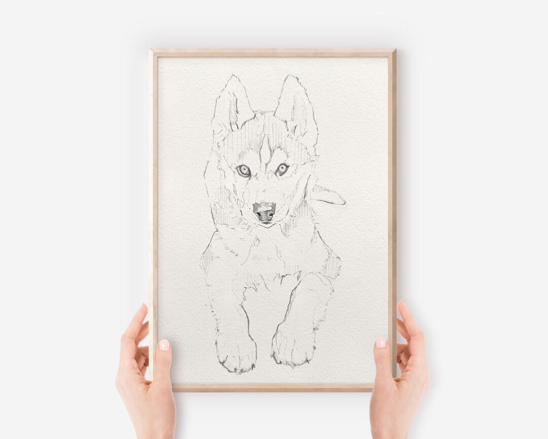 Husky Puppy Pencil Drawing | Premium Husky Art Print | Hand-drawn Wall ...