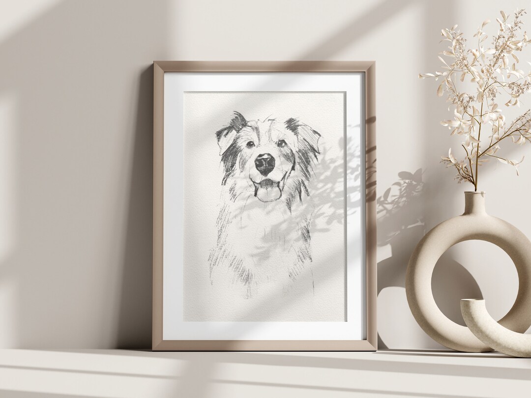 Australian Shepherd Art Print | Hand-drawn Aussie Dog Sketch | Pet ...