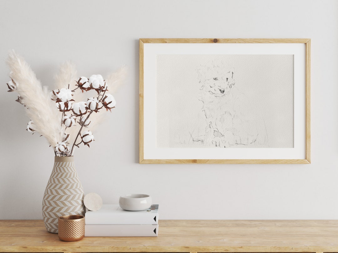 Cockapoo Cockapoo Dog Cockapoo Drawing Cockapoo Sketch Pencil Sketch ...