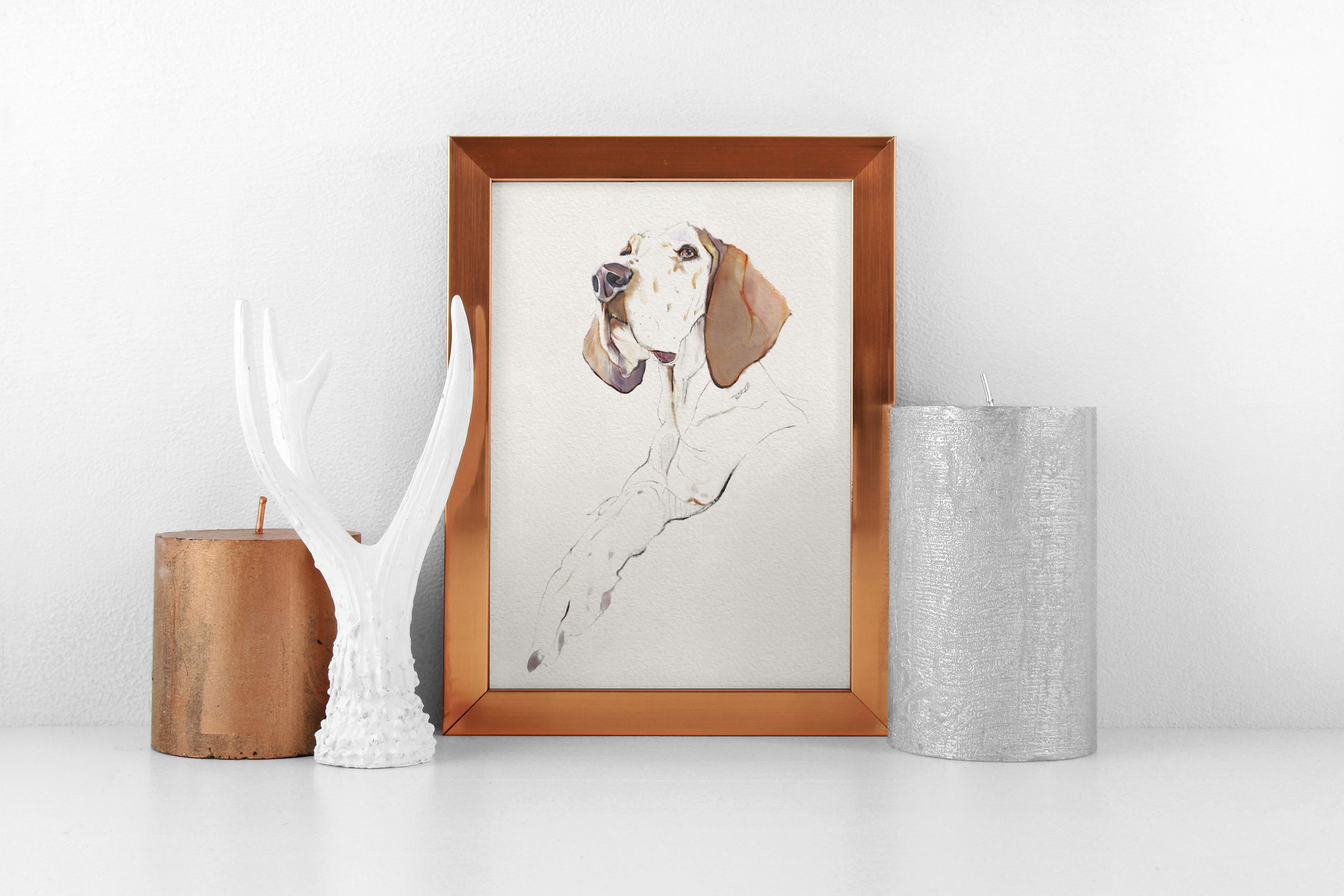 English Pointer Dog | English Pointer | Hunting Dog | Dog Drawing | Dog ...