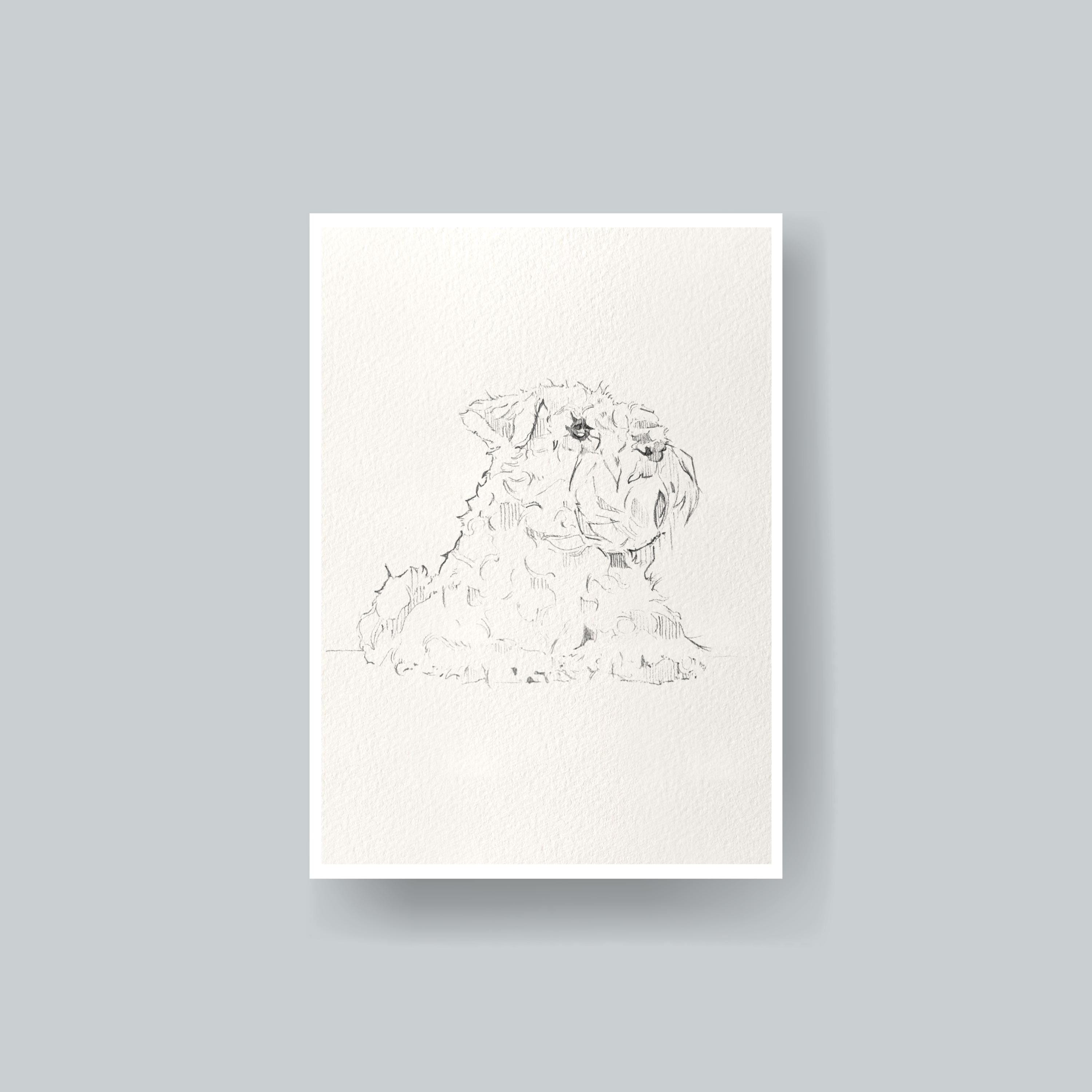 Schnauzer Dog Drawing | Hand-drawn Portrait |printable | Instant ...