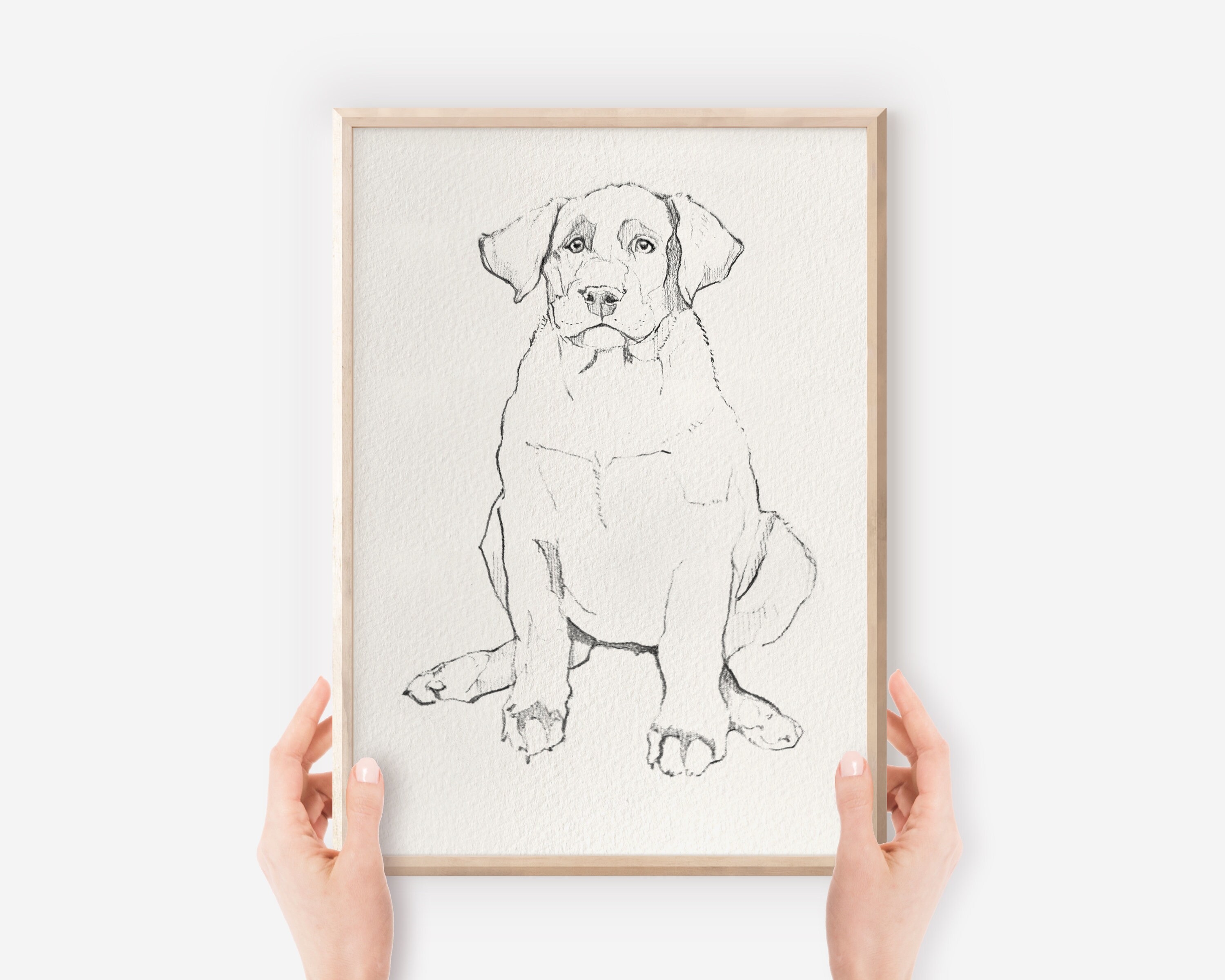 Labrador Pencil Sketch Art | Lab Puppy Drawing | Dog Lover Art Print ...