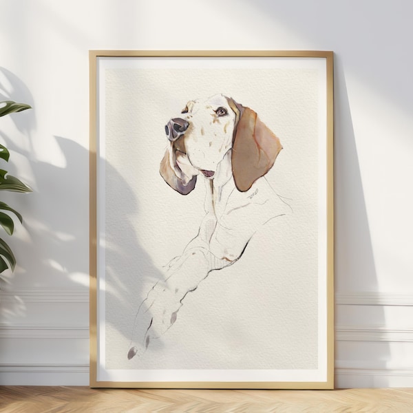 English Pointer Dog - Etsy