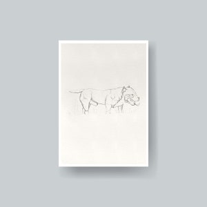 American Bully XL Bully American Bully Dog Dog Drawing Art Print Pencil ...