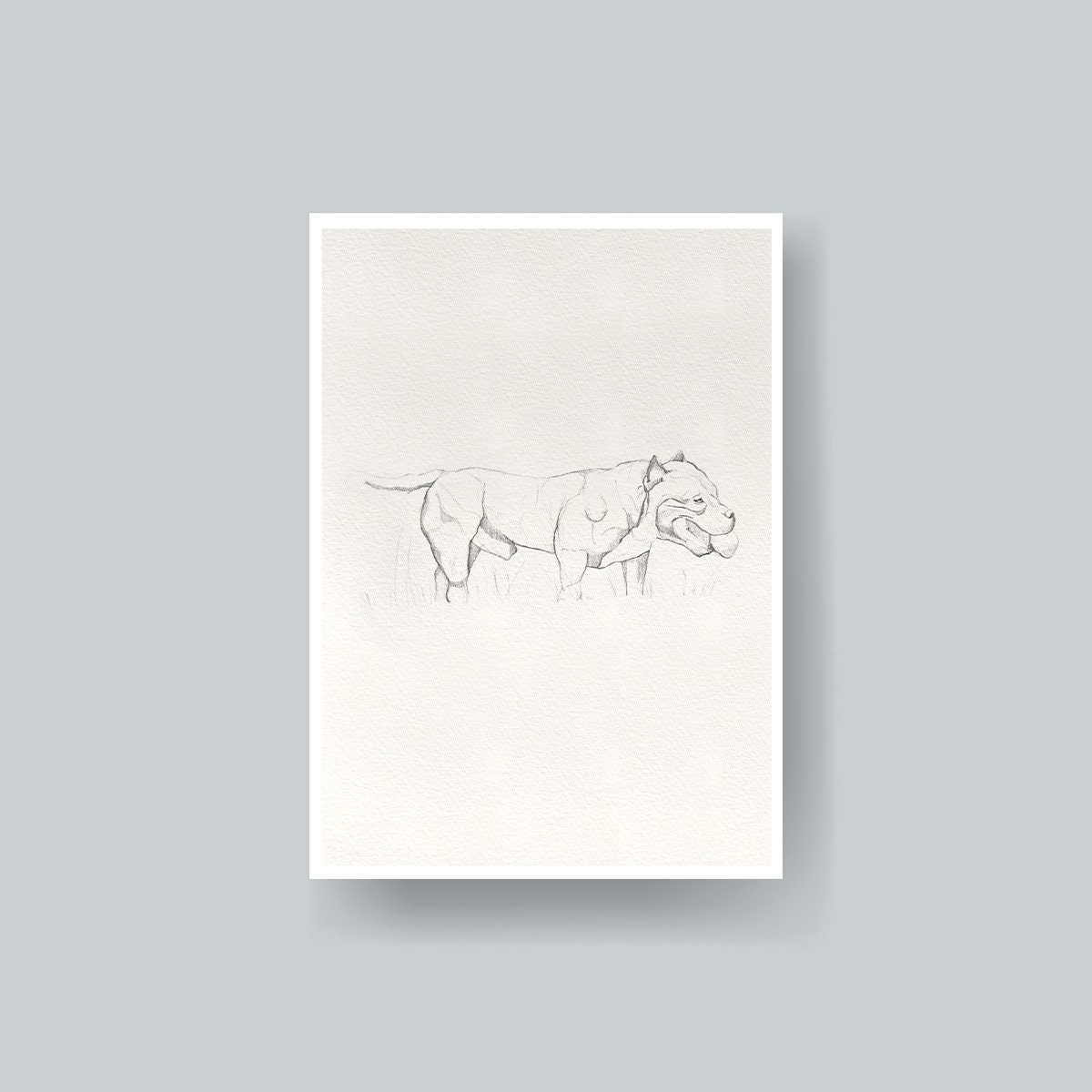 American Bully | XL Bully | American Bully Dog | Dog Drawing | Art ...