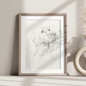 Vizsla Vizsla Dog Drawing Dog Drawing Pencil Drawing Pencil Sketch Hand ...