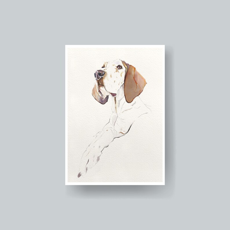 English Pointer Dog | English Pointer | Hunting Dog | Dog Drawing | Dog ...