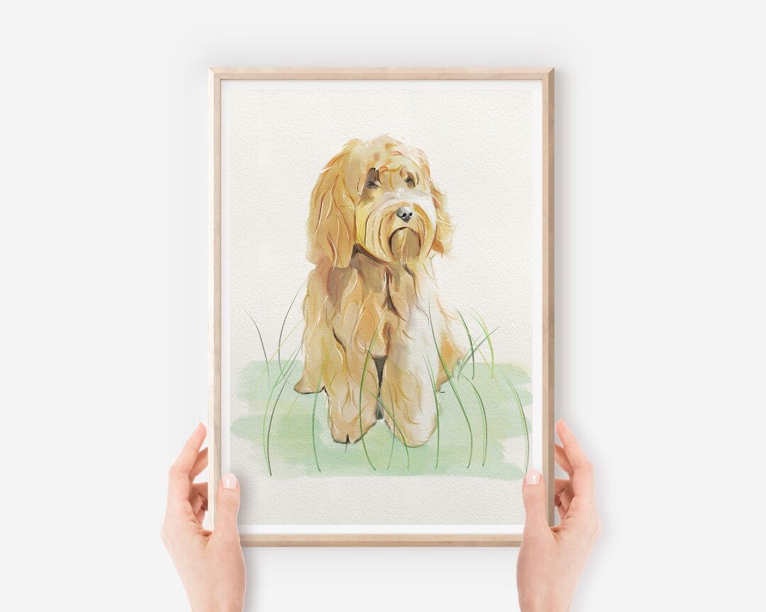 Cockapoo Watercolor Painting, Dog Lover Ideas, Cockapoo Art, Cockapoo ...