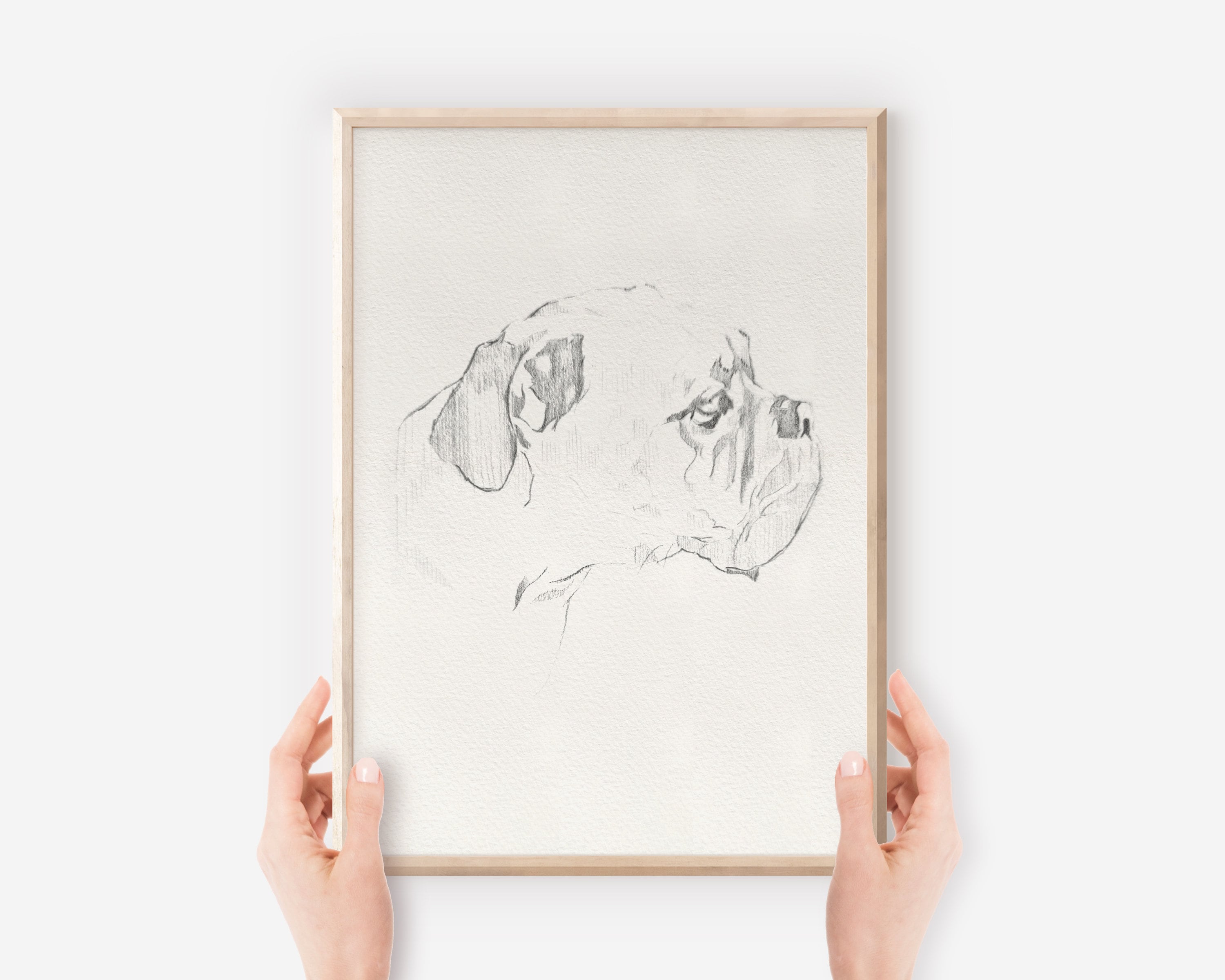 Boxer Dog Boxer Dog Drawing Boxer Art Print Boxer Dog Sketch Boxer Dog ...