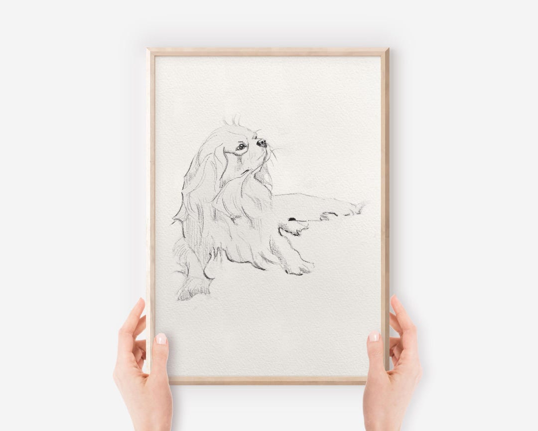 Cavalier King Art | Dog Drawing | Printable | Art Print | Easy Print ...