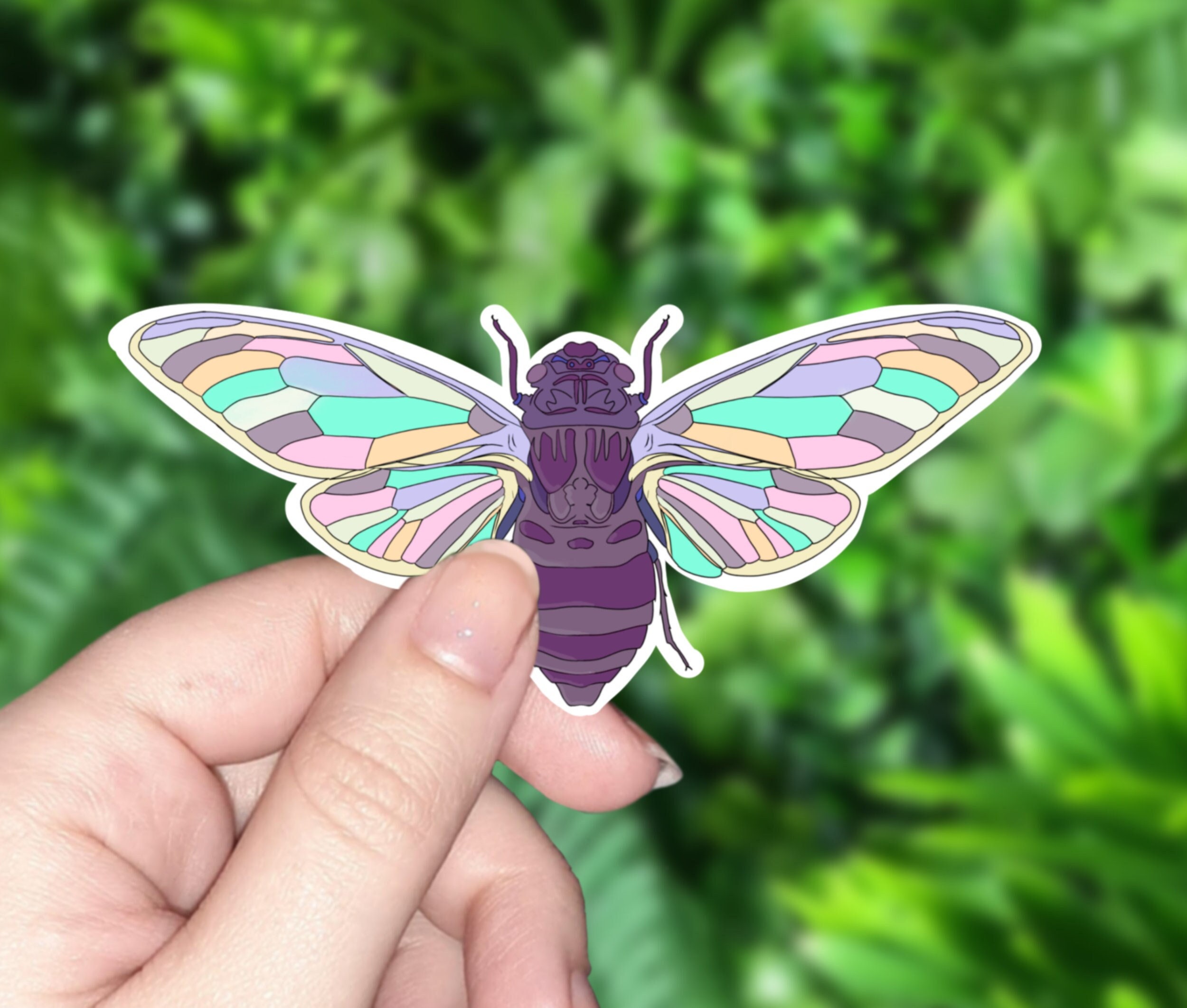 Cicada Sticker | Holographic Water Resistant - Etsy