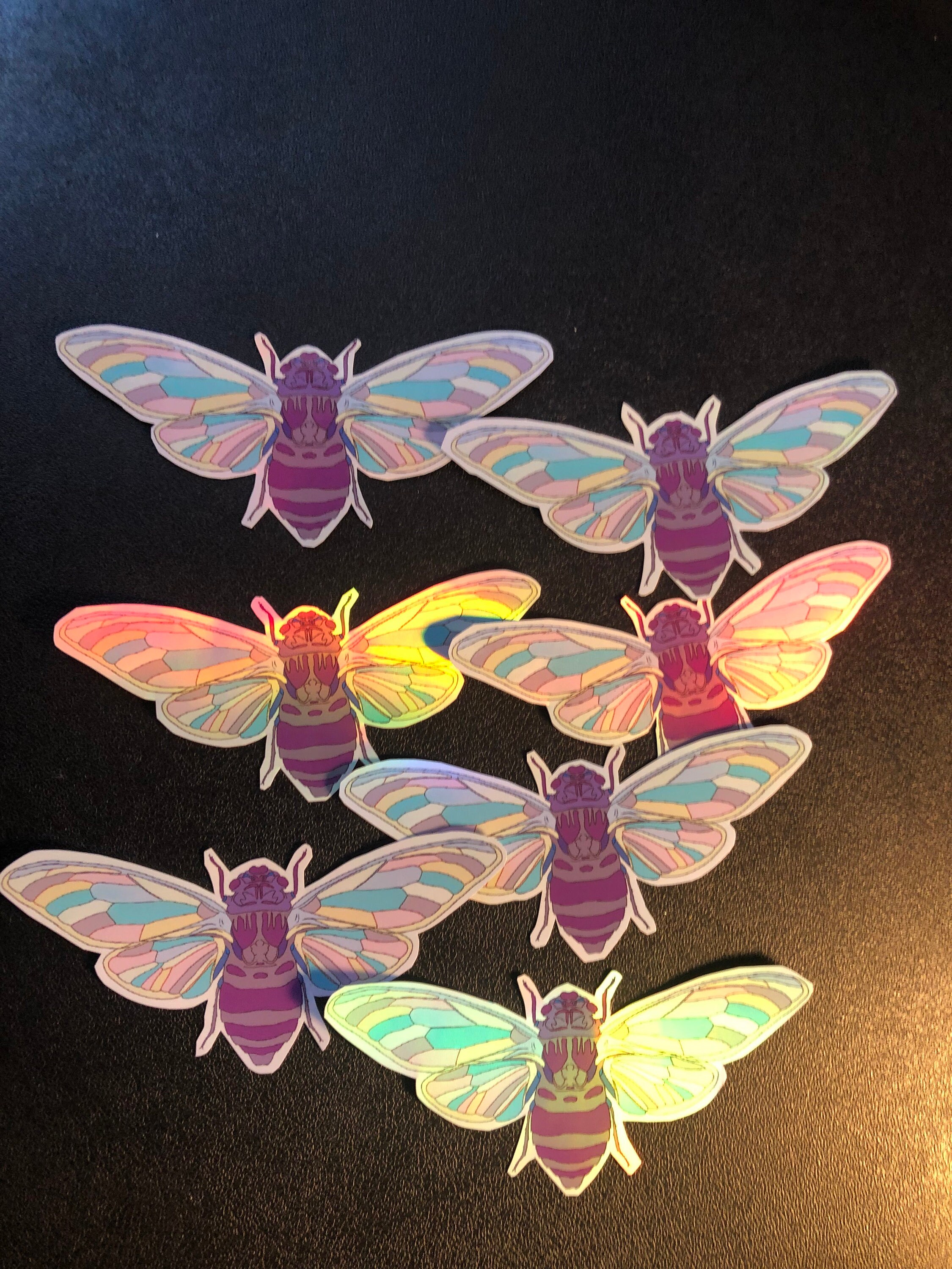 Cicada Sticker Holographic Water Resistant - Etsy
