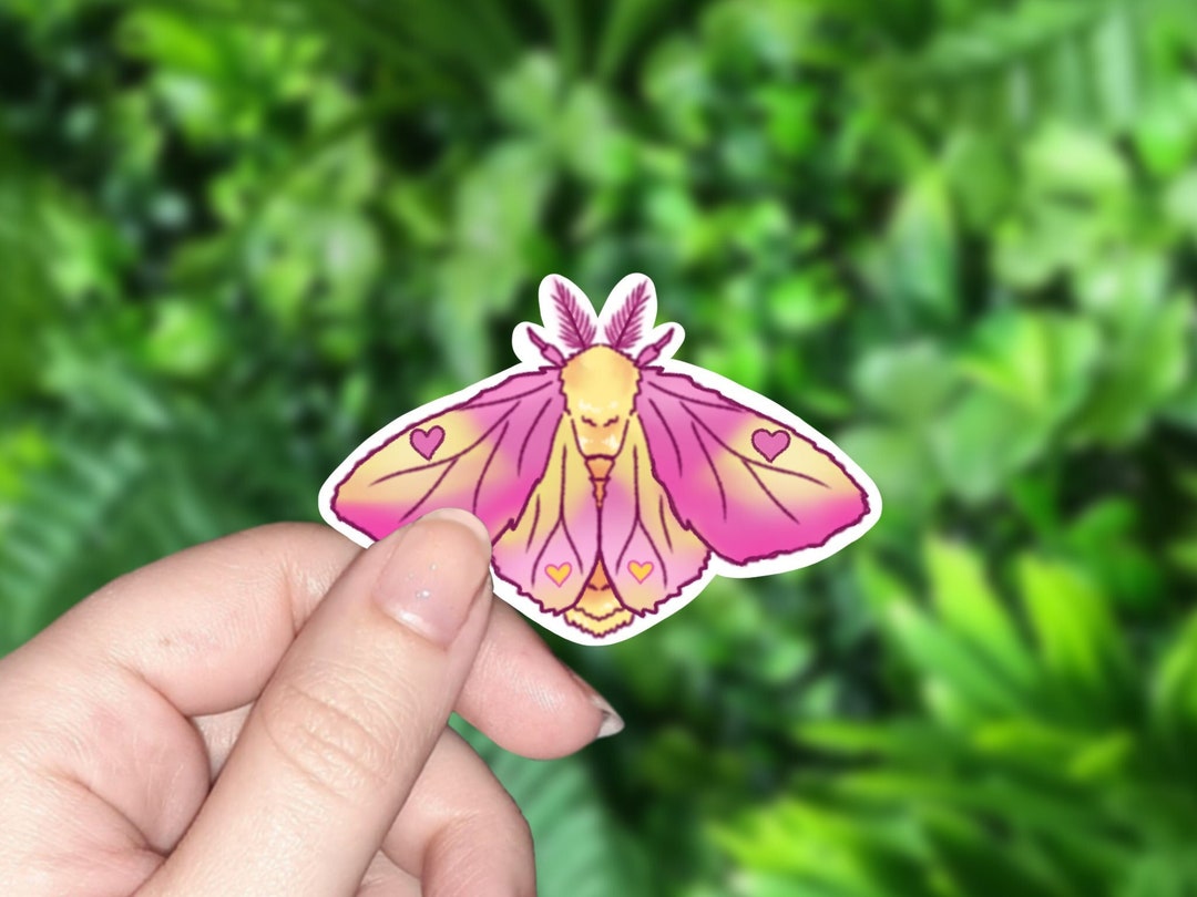 Rosy Maple Moth Sticker | Holographic Water Resistant | Two Holographic ...