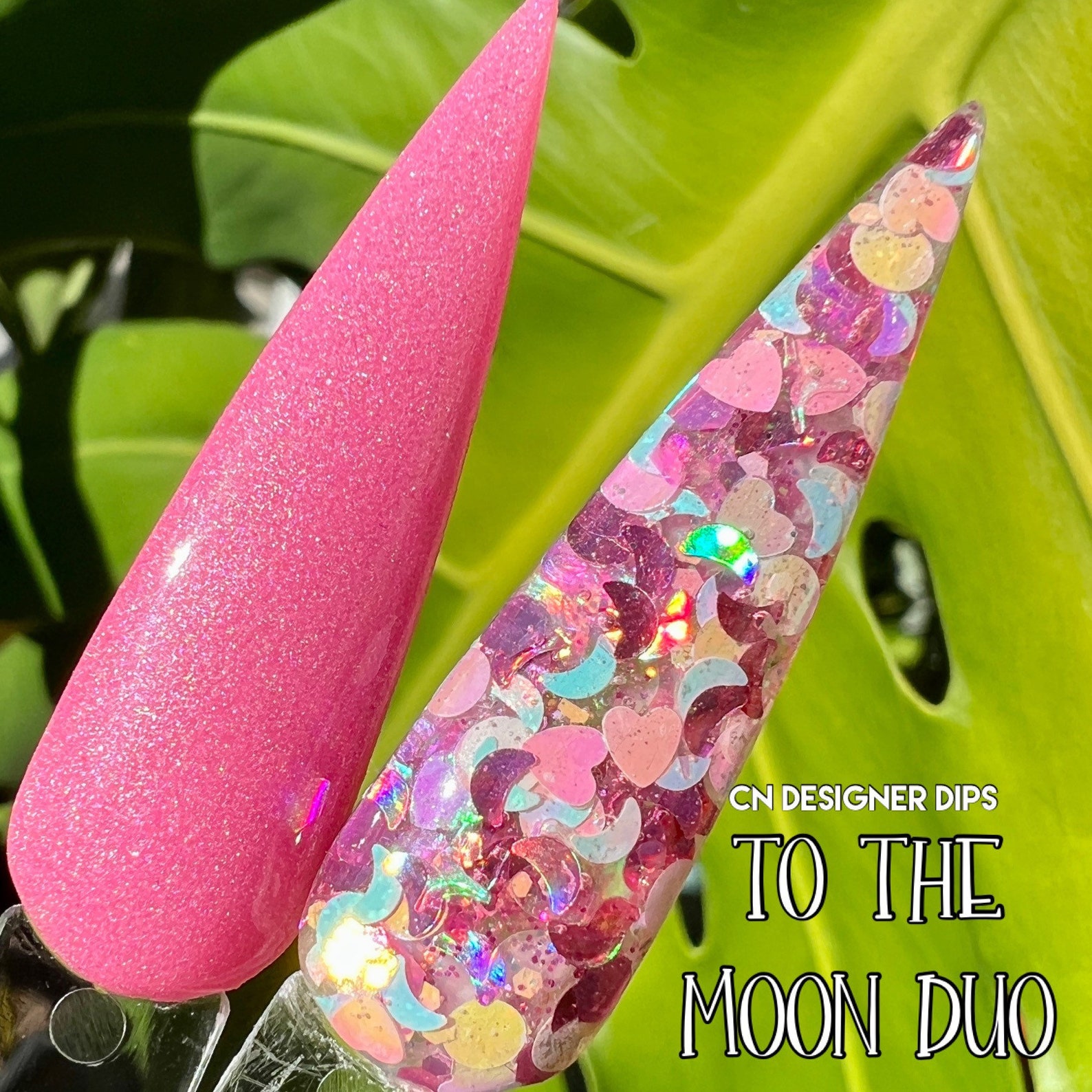 To the Moon & Back Dip Powder for Nails Dip Powder Acrylic | Etsy