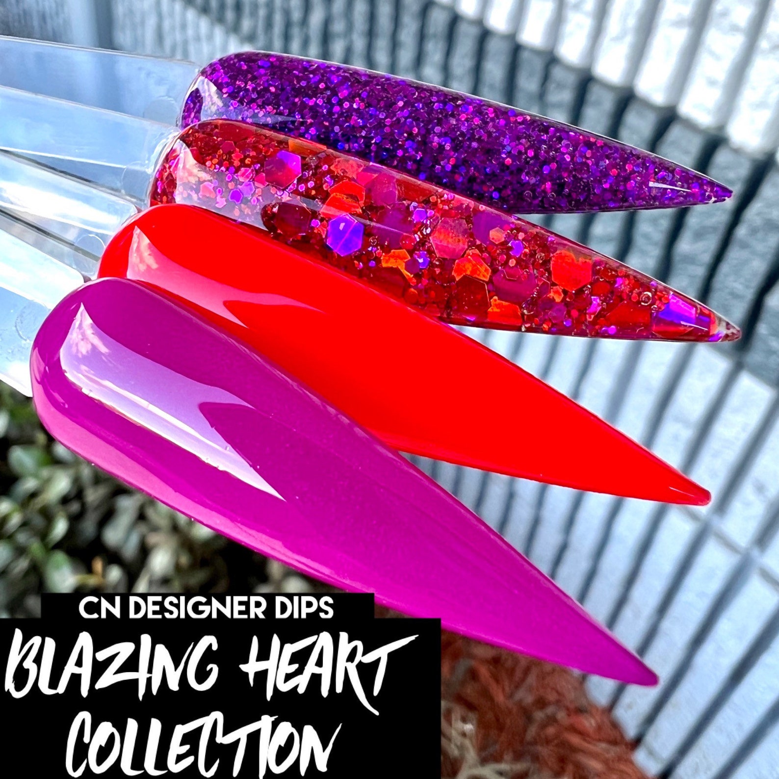 Blazing Heart Collection Dip Powder Dip Powder for Nails | Etsy