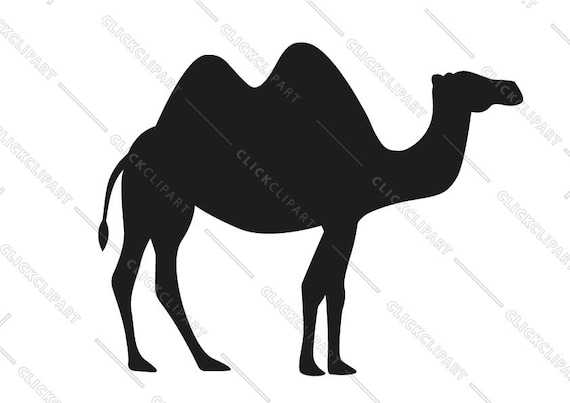 Svg Png Eps Dxf Cut files. Camel Heartbeat Art & Collectibles Digital ...