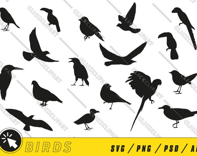 Svg Cut File.12 Birds in Flight Set Silhouettes on White Background.png ...