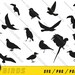 Vogel-SVG-Bundle | Vögel Silhouette | SVG-Dateien | Dateien ...