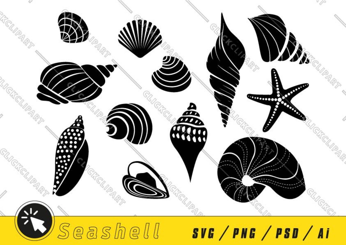 Seashells SVG Silhouette Bundle Seashell PNG Beach - Etsy