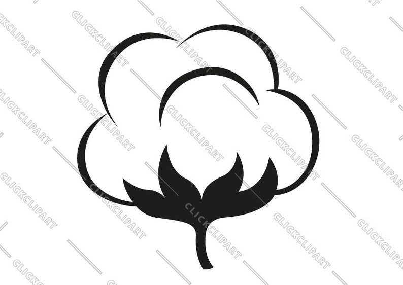 Cotton SVG Cotton Boll PNG Cotton Clipart Cotton Plant - Etsy