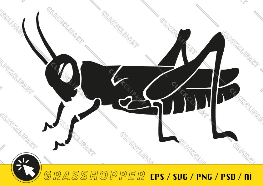 Grasshopper Black And White Clipart