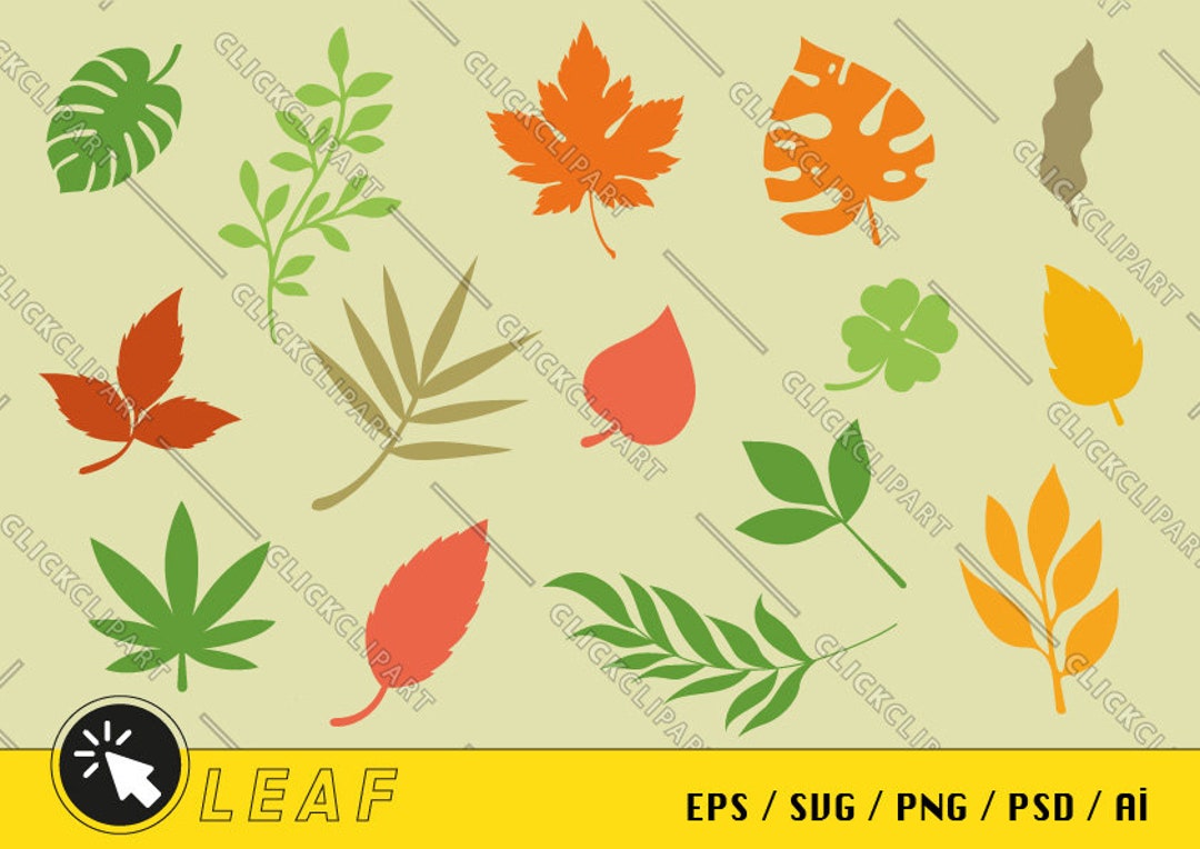 Feuilles SVG Feuille SVG Clipart de feuille Fleuri Botanique Plante ...