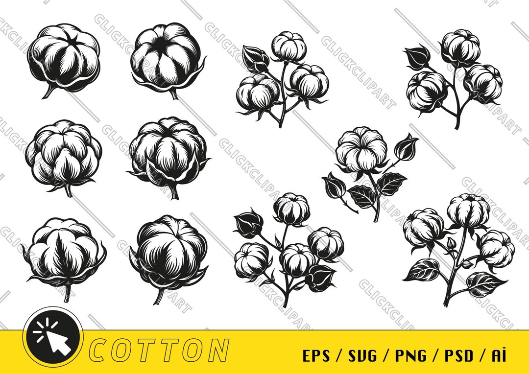 Cotton SVG | Cotton Boll PNG | Cotton Clipart | Cotton Plant | Flower ...