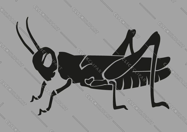 Grasshopper SVG Bundle Grasshopper Silhouette Locust PNG Cut Files ...