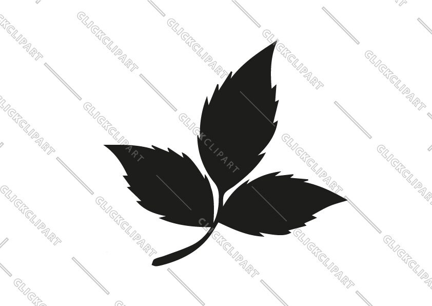 Hojas SVG Hoja SVG Imágenes Prediseñadas de la hoja - Etsy México