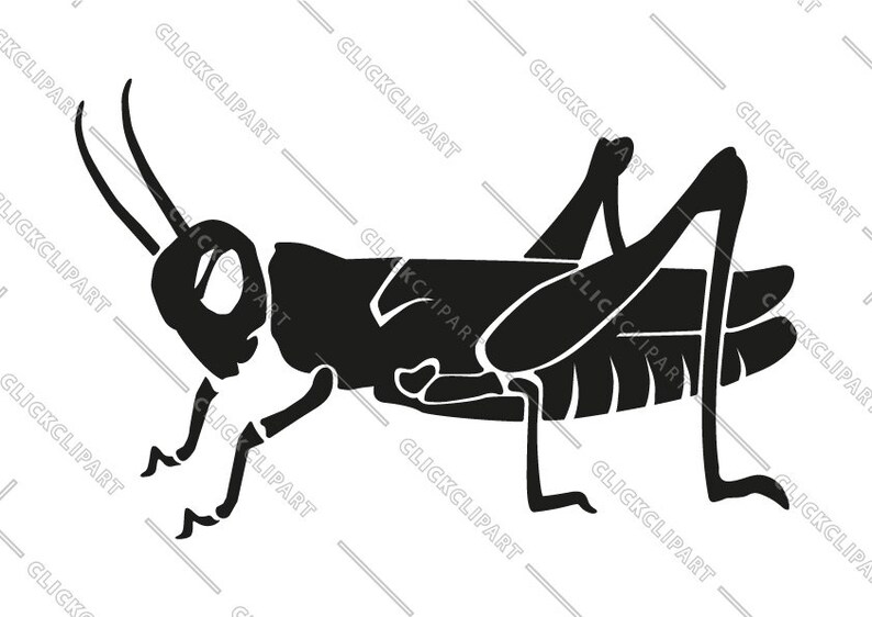 Grasshopper SVG Bundle Grasshopper Silhouette Locust PNG Cut Files ...