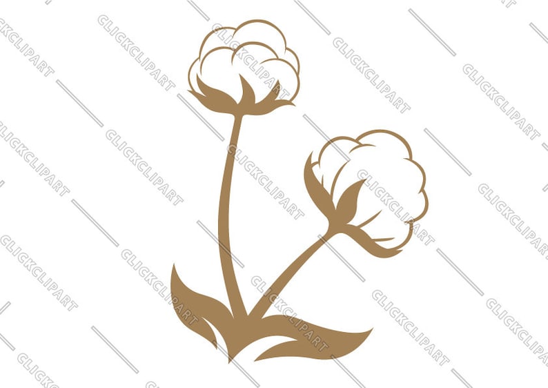Cotton SVG | Cotton Boll PNG | Cotton Clipart | Cotton Plant | Flower ...