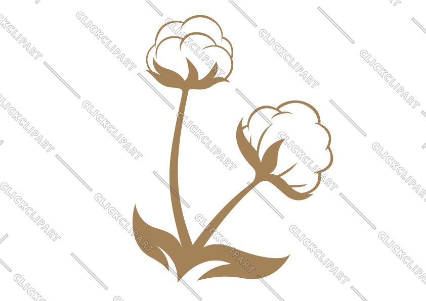 Cotton SVG Cotton Boll PNG Cotton Clipart Cotton Plant Flower Line Art ...