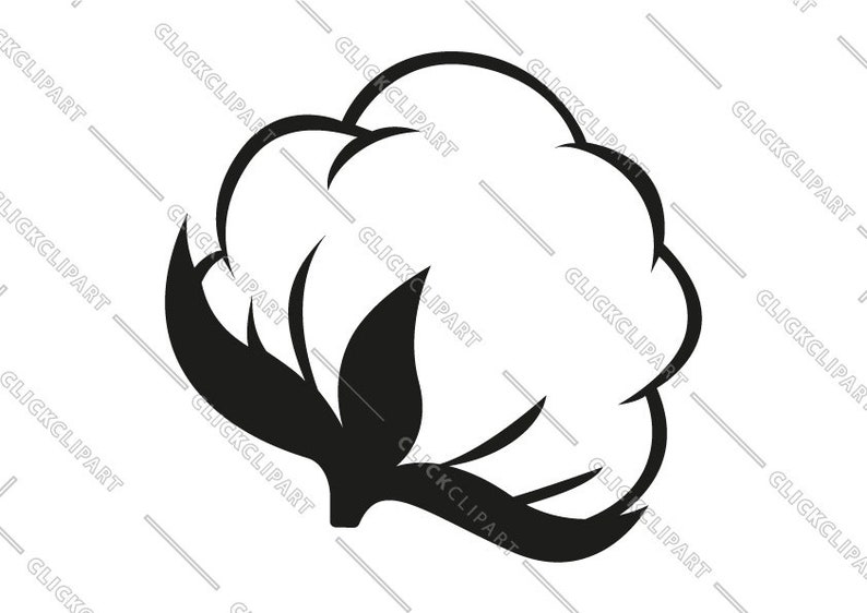 Cotton SVG Cotton Boll PNG Cotton Clipart Cotton Plant - Etsy