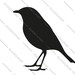 Vogel-SVG-Bundle | Vögel Silhouette | SVG-Dateien | Dateien ...