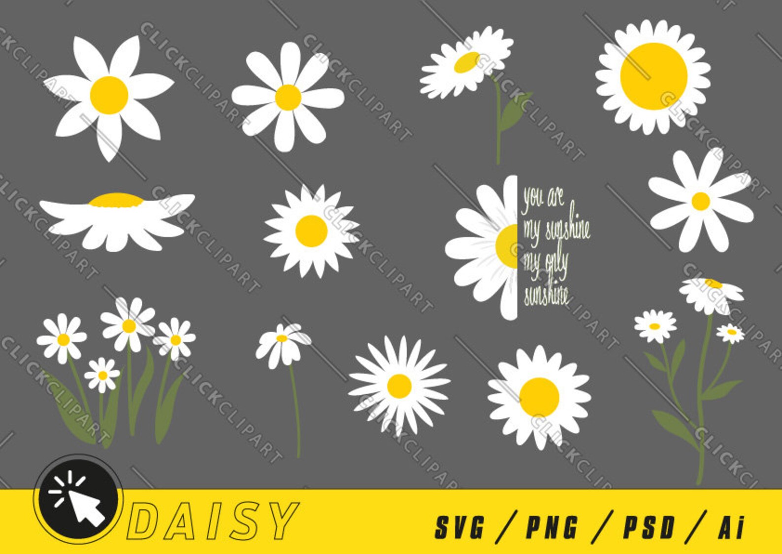 Daisy Clipart Flower SVG Spring PNG Daisies Svg Floral Svg Svg Flowers ...