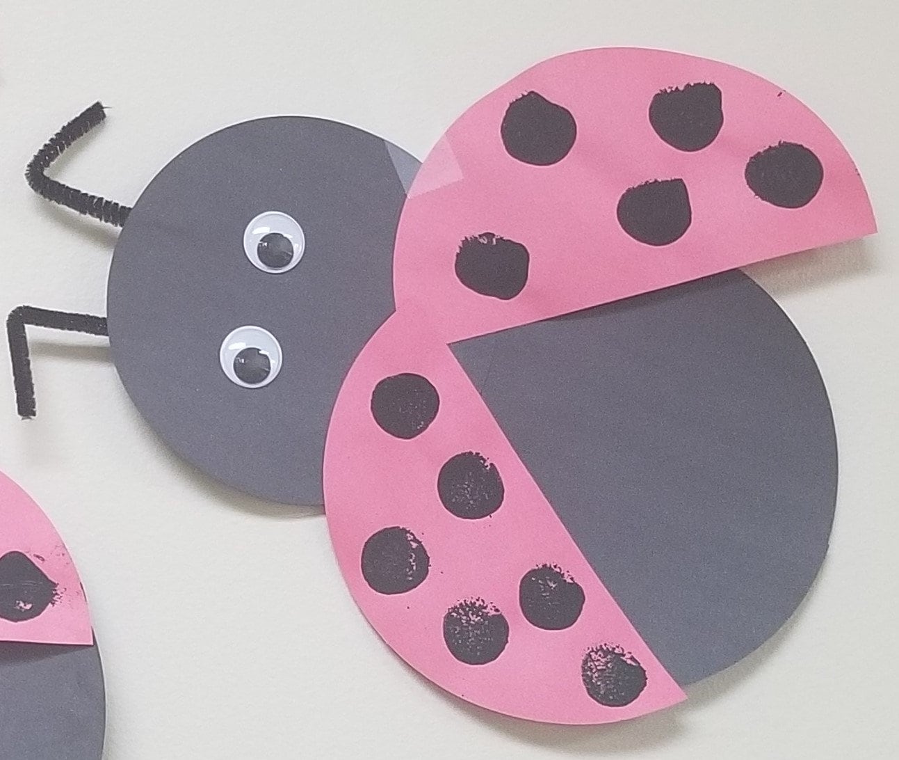 Eric Carle Book Craft Bundle - Etsy