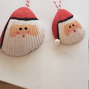 Santa Face Shell From Siesta Key - Etsy
