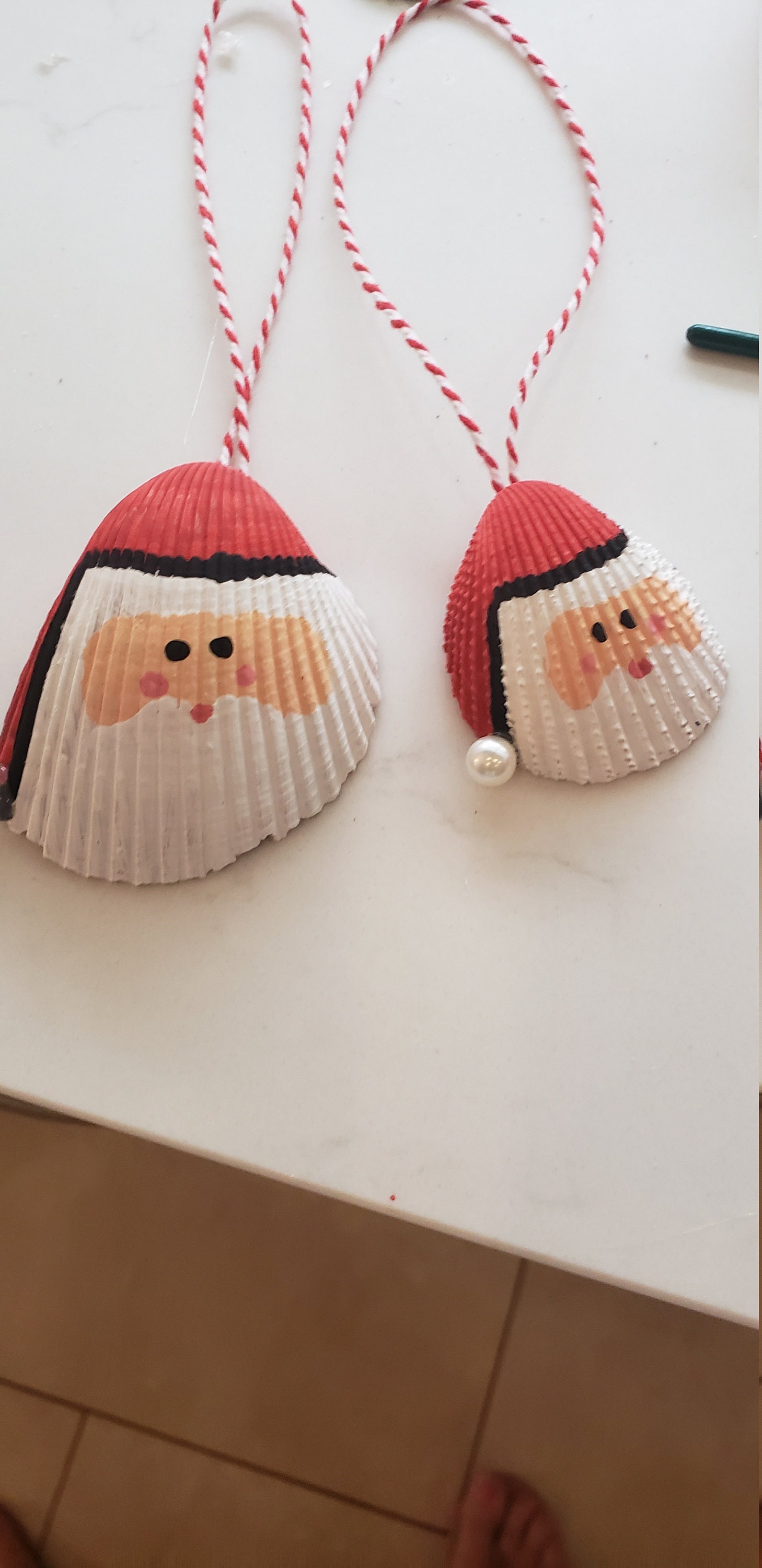 Santa Face Shell From Siesta Key - Etsy